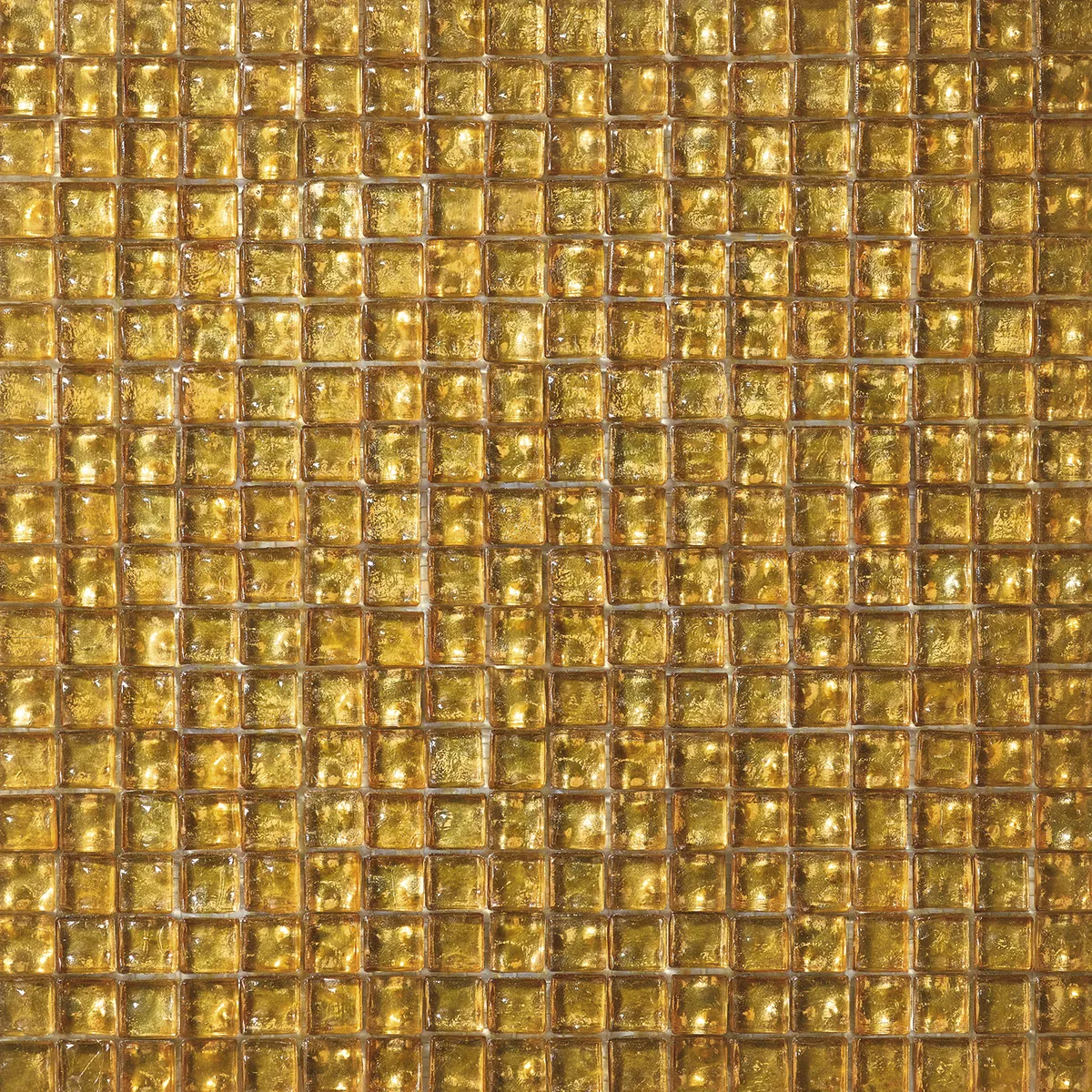 Tarianne Tide | Sicis